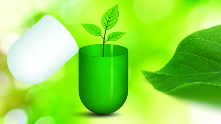 Facilities In Expansion | Pharmasia Limited